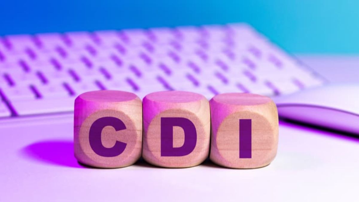 Investimento CDI: O que é, como funciona, vantagens e desvantagens ...